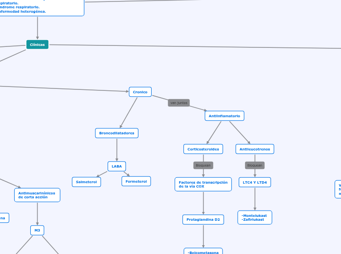 ASMA por si se borra - Mind Map